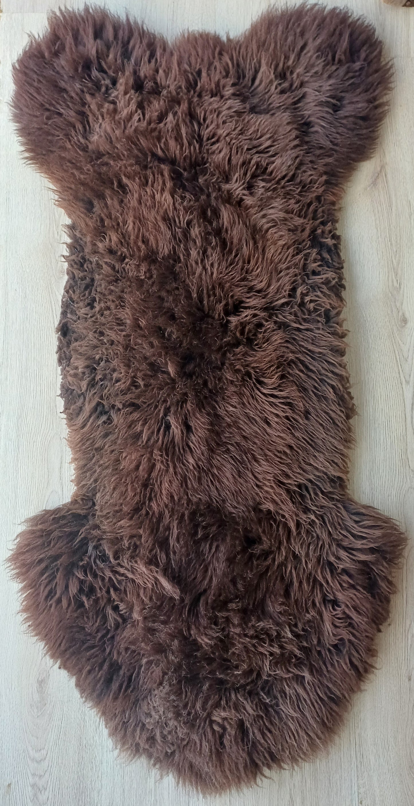 Hollandse vacht XL – De Foddebosk