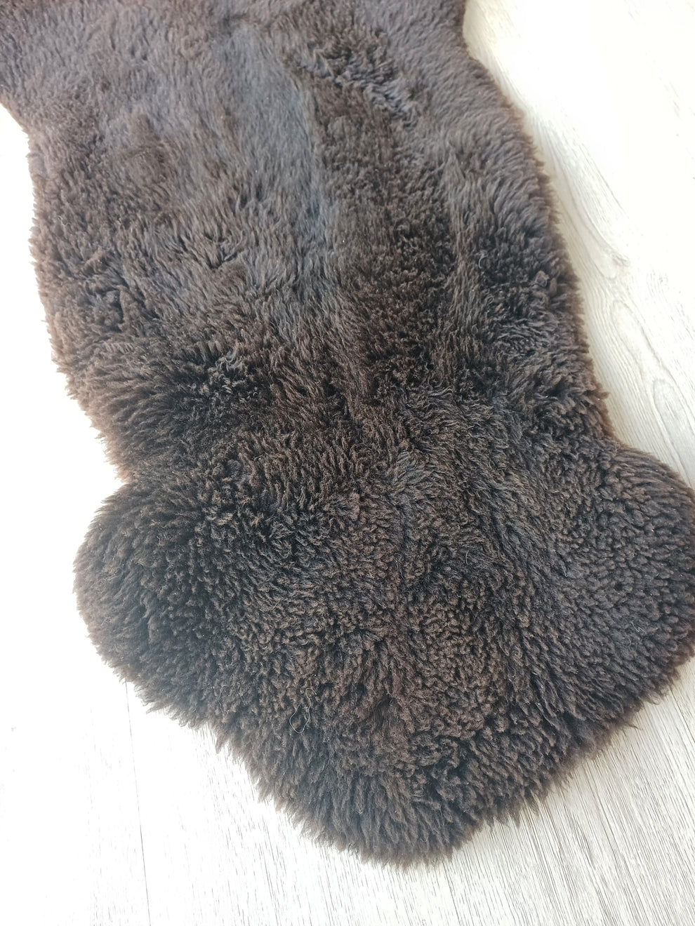 Hollandse vacht L – De Foddebosk