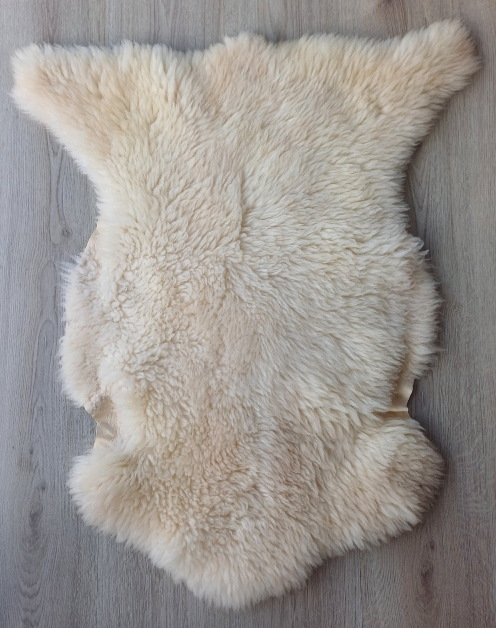 Hollandse vacht S – De Foddebosk
